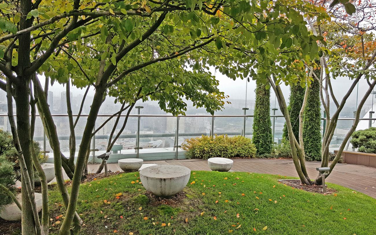 Intensive Green Roofs | ZinCo Green Roof Systems UK