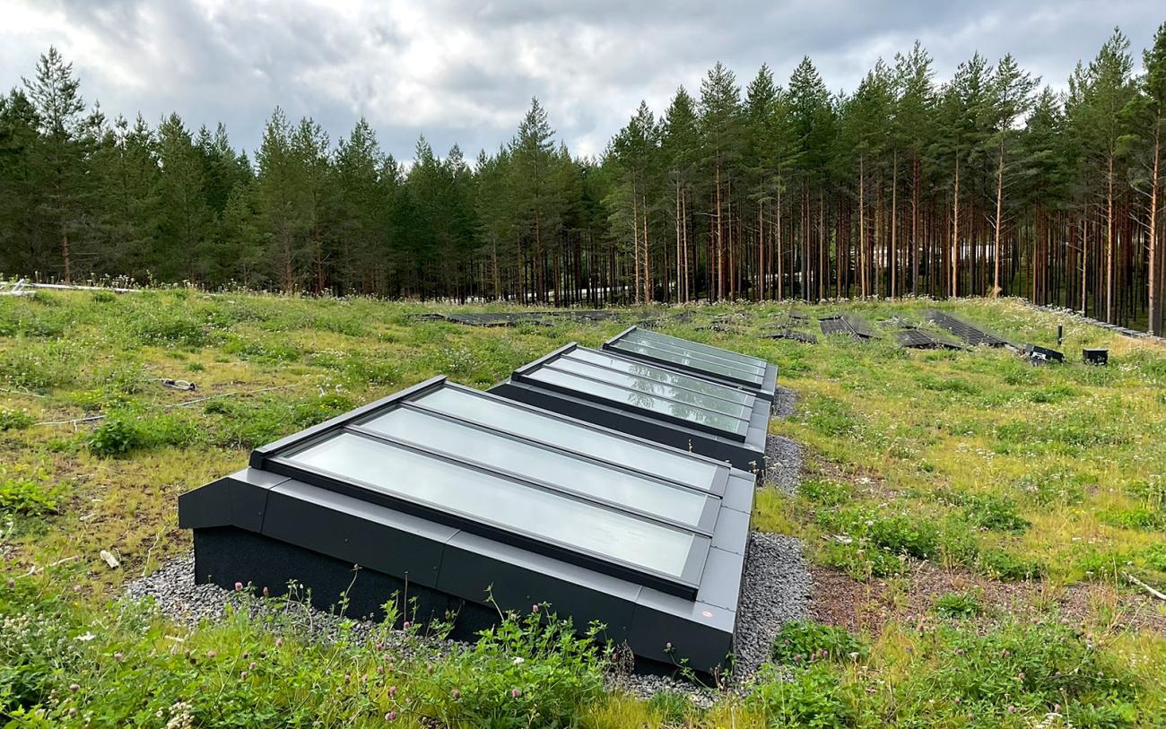 The Plus: A good omen | ZinCo Green Roof Systems UK