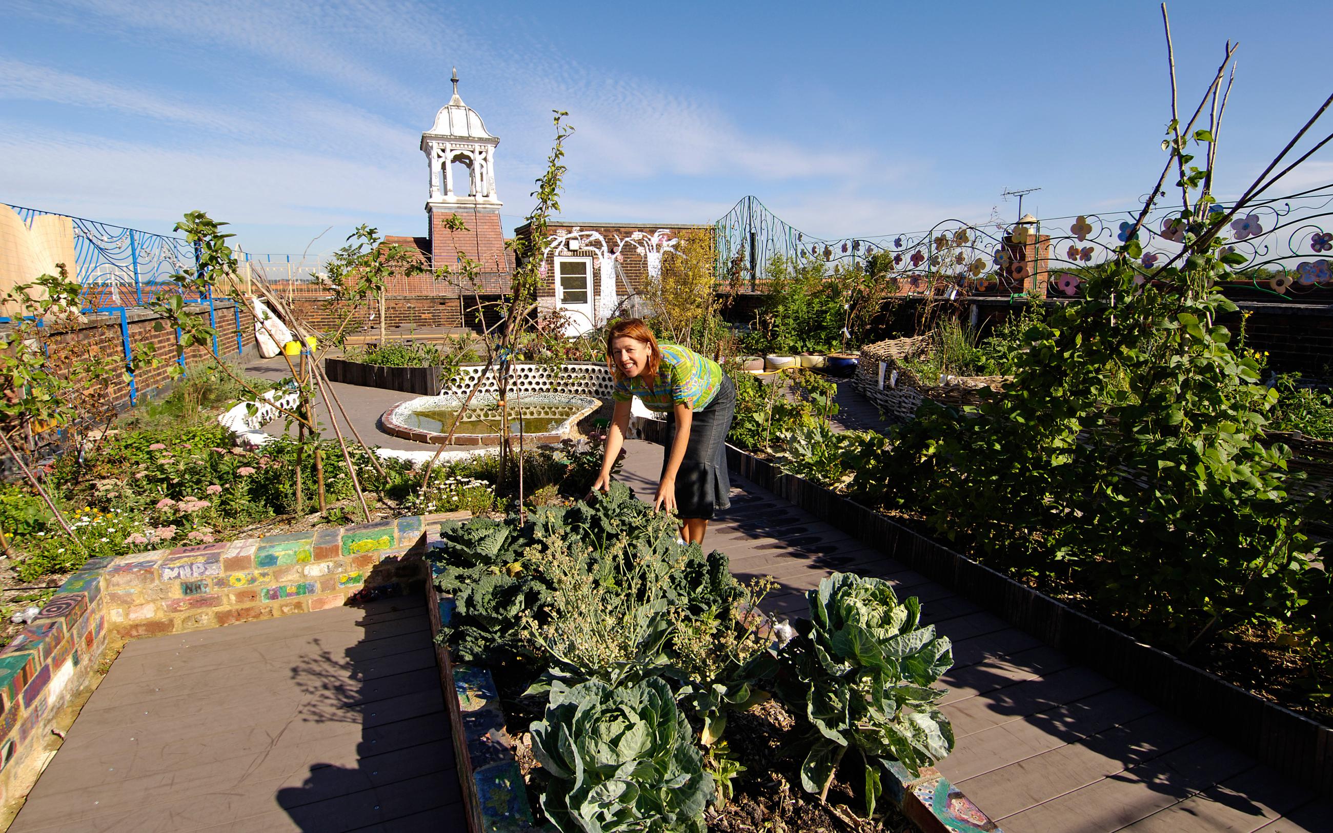 Urban rooftop farming | ZinCo Green Roof Systems UK