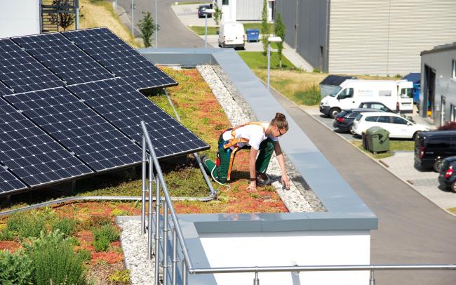 Solar and green are a good fit for a roof! | ZinCo Green Roof Systems UK